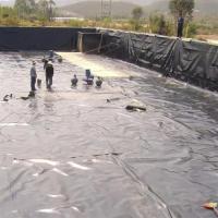 China Waterproof 1000 Micron Geoliner for Aquaculture Pond Project Solution Capability for sale