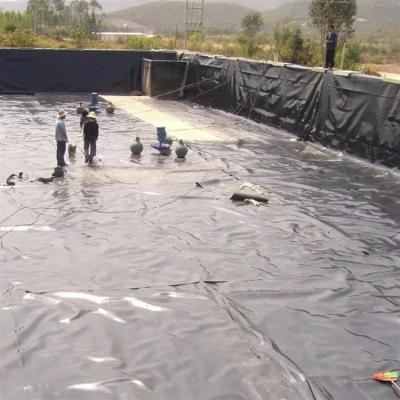 China Waterproof 1000 Micron Geoliner for Aquaculture Pond Project Solution Capability for sale