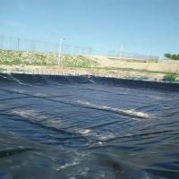China Waterproof 1000 Micron Geoliner for Aquaculture Pond Project Solution Capability for sale