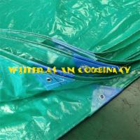 China Heavy Duty PE Tarpaulin 50-300gsm Waterproof UV Treated Truck Cover 10x20 for sale