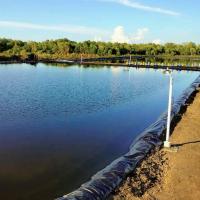 China 2mm HDPE Geomembrane Liner for Fish Shrimp Farming Pond Waterproof for sale
