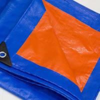China LDPE Coating Tarpaulin Cover 250GSM Heavy Duty Waterproof Camping Ground Sheet for sale