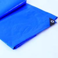 China Heavy Duty PE Coated Waterproof Tarpaulin 12x20 ft Blue HDPE Ground Sheet for Camping Outdoor for sale