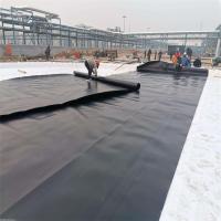 China Online Technical Support HDPE Plastic Waterproof Geomembrane for Pond Dam Lagoon Liner for sale