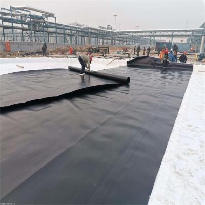 China Online Technical Support HDPE Plastic Waterproof Geomembrane for Pond Dam Lagoon Liner for sale