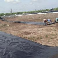 China Online Technical Support HDPE Plastic Waterproof Geomembrane for Pond Dam Lagoon Liner for sale