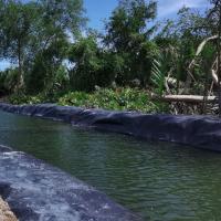 China Online Technical Support HDPE Plastic Waterproof Geomembrane for Pond Dam Lagoon Liner for sale