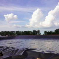 China 0.5mm HDPE Geomembrane Pond Liner for Agriculture Fish Farming 0.75mm-3mm for sale