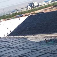 China Glossy HDPE Geomembrane Fish Pond Liner 0.75mm to 3.00mm Thickness 50m Length for sale