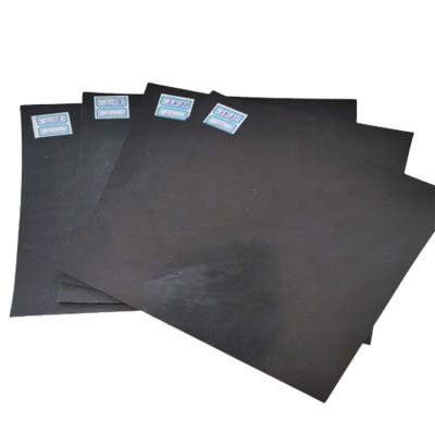 China Waterproof HDPE Landfill Geomembrane Liner 1mm 1.5mm 2mm Pond Dam Liner for Kenya for sale