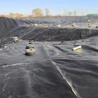 China Foldable HDPE Geomembrane Fish Pond Liner 0.75mm Black for Crawfish Farming for sale