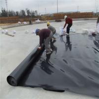 China HDPE Geomembrane 0.75mm-3mm Waterproof Pond Liner for Fish Farm and Mining for sale