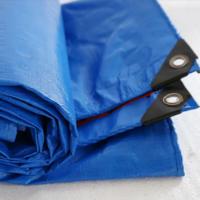 China Custom Anti-UV Waterproof PE Tarpaulin Tarp 20x30 30x50 40x60 50-300 GSM for sale