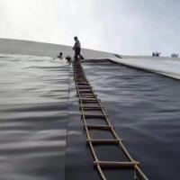 China High Density HDPE Geomembrane Durable Waterproofing Solution for Fish Farm Pond Liner for sale