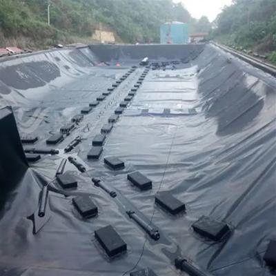 China 0.5mm LDPE LLDPE HDPE Double Smooth Geomembrane for Fish Pond Dam Liner for sale
