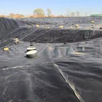 China 0.5mm LDPE LLDPE HDPE Double Smooth Geomembrane for Fish Pond Dam Liner for sale
