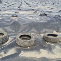 China 0.5mm LDPE LLDPE HDPE Double Smooth Geomembrane for Fish Pond Dam Liner for sale
