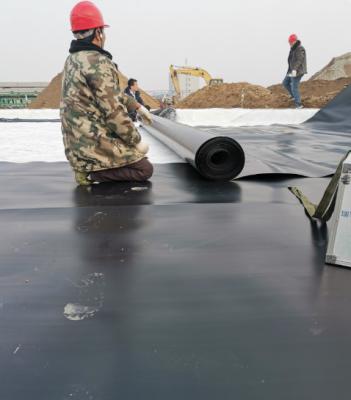 China HDPE Geomembrane 1.5mm Thickness Double Texture for Fish Farming Tank Liner for sale
