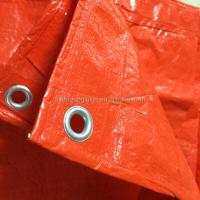 China HDPE Laminated Waterproof PE Tarpaulin 2m-100m Width for Car Protection for sale