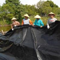 China 1.0mm HDPE Geomembrane Liner for Fish Pond Aquaculture with Onsite Training for sale