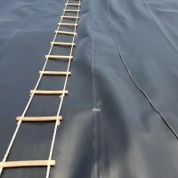 China HDPE LDPE Geomembrane 1mm 1.5mm 2mm Pond Liner Landfill Liner 50m 100m Roll for sale