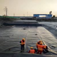 China CE Certified HDPE Geomembrane Sheet 0.2mm-3mm Thickness for Fish Pond Liner for sale
