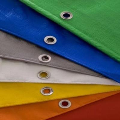 China Reinforced PE Tarpaulin UV Plastic Fabric Sheet 50-300gsm for Agriculture Industrial Cover for sale
