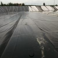 China HDPE Geomembrane 0.1mm-2.5mm Fish Tank Liner for Pond Waterproofing for sale