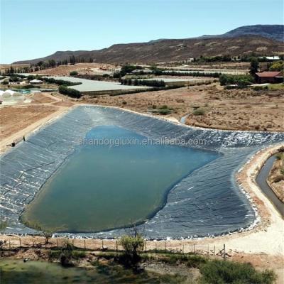China Blue HDPE Geomembrane 0.75mm 1mm Waterproof Pond Liner for Swimming Pool Project for sale