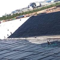 China Onsite Inspection Service Waterproof Geomembrane 45mil EPDM Rubber Pond Liner HDPE 1.5mm for sale