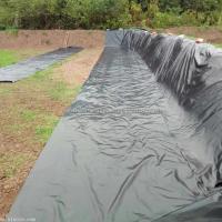 China Project Solution Capability HDPE Black Geomembrane 0.5mm for Fish Shrimp Farming Ponds for sale