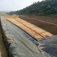 China Project Solution Capability HDPE Black Geomembrane 0.5mm for Fish Shrimp Farming Ponds for sale