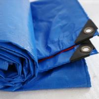 China Waterproof Fireproof PE Coated Tarpaulin Fabric Laminated Sheet 50-300 GSM for Outdoor Protection for sale