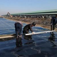 China HDPE Geomembrane 1mm 2mm Fish Pond Liner for Artificial Lake Waterproofing for sale