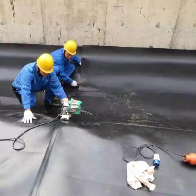 China Double Smooth/Double Texture Surface HDPE Geomembrane for Plastic Waterproof Pond Liner for sale