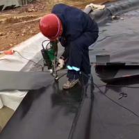 China Double Smooth/Double Texture Surface HDPE Geomembrane for Plastic Waterproof Pond Liner for sale