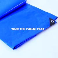 China Waterproof PE Tarpaulin HDPE Woven LDPE Laminated Outdoor Tent Cover 50-300gsm for sale