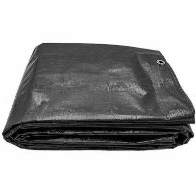 China 500D-1500D Yarn Count PE Coated Tarpaulins Heavy Duty Waterproof 50-300gsm for sale