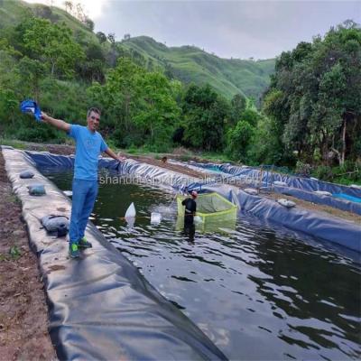 China 0.75mm HDPE Geomembrane Waterproof Membrane for Aquaculture Fish Shrimp Tank Liner for sale