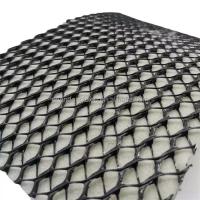 China Three Dimensional Geosynthetics Network Composite Drainage Net for Park Construction for sale