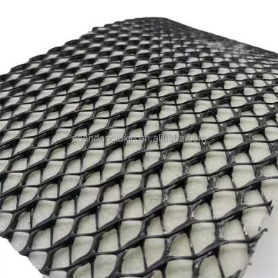 China Three Dimensional Geosynthetics Network Composite Drainage Net for Park Construction for sale