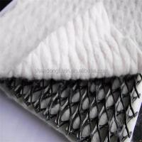China Three Dimensional Geosynthetics Network Composite Drainage Net for Park Construction for sale