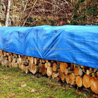 China 6x6 to 16x16 Density UV Protected PE Tarpaulin for Agriculture and Industrial Cover for sale
