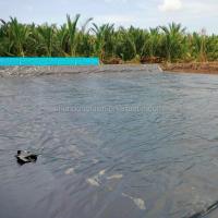 China HDPE Geomembrane Pond Liner 0.75mm-3.0mm Waterproof Impermeable for Landfill Mining for sale