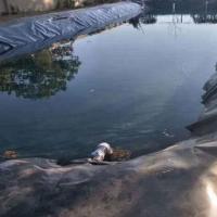 China Smooth HDPE Geomembrane Pond Liner 1.5mm 2mm for Landfill and Aquaculture for sale
