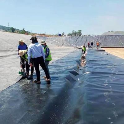 China 0.3mm-3.0mm HDPE Geomembrane for Artificial Lake Dam Liner Swimming Pool Waterproofing for sale