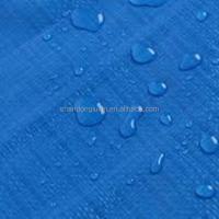 China HDPE Waterproof Blue Tarp 50-300gsm Outdoor Cover Tear Resistant Anti UV for sale