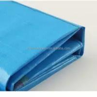 China Waterproof PE Tarpaulin Sheet 500D-1500D 250gsm HDPE Laminated Canvas for Truck Cover for sale