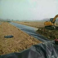 China 60 mil HDPE Geomembrane Liner ASTM GRI-GM13 Black Fish Pond Liner 2mm for sale