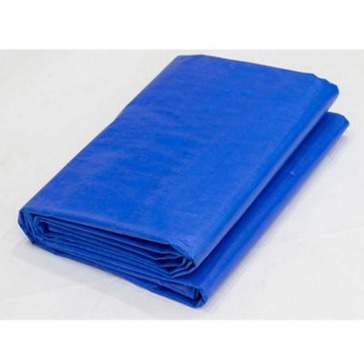 China Customized Truck Cover Garden Agriculture Tarpaulin Double Waterproof PE Coated 50-300gsm for sale